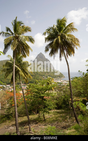 Palm trees and the mountains Two Pitons at moonrise, Soufriere, St ...