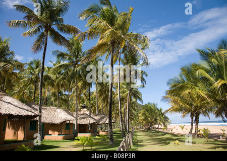 Playa Pui Pui Beach, Venezuela, Caribbean, South America Stock Photo ...