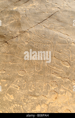 Prehistoric rocks Carvings Sahara desert Mauritania Stock Photo - Alamy