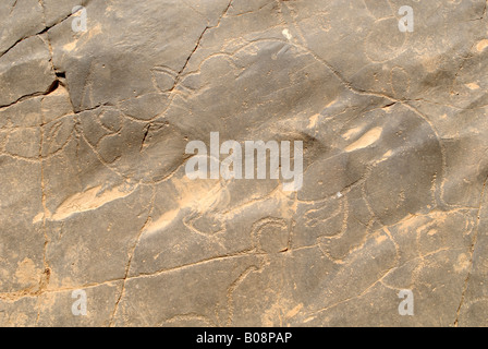 Prehistoric rocks Carvings Sahara desert Mauritania Stock Photo - Alamy