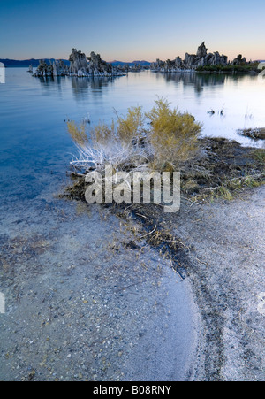 Photo of salt rock formation on a sea shore Stock Photo - Alamy