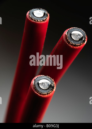 Electricity Cables cut in half showing internal wire cables Stock Photo ...