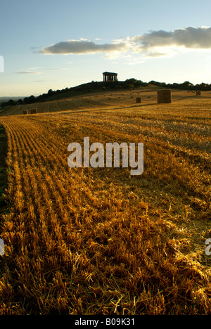 Haystacks near Penshaw Monument, near Penshaw, Houghton le Spring ...
