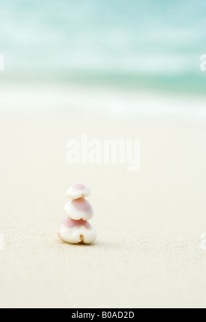 Stack on seashells on sand Stock Photo - Alamy