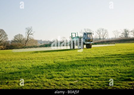 Spraying Wheat to control Weeds Stock Photo - Alamy