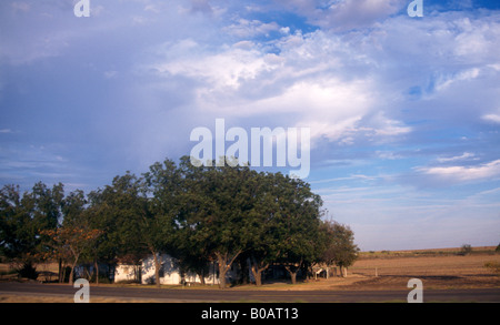 Texas USA Road To Austin Countryside Stock Photo - Alamy