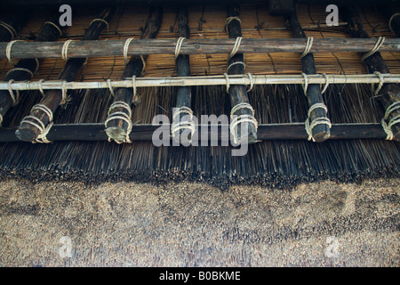 Traditional Japanese house with thatched roof at Oishi petit pension ...