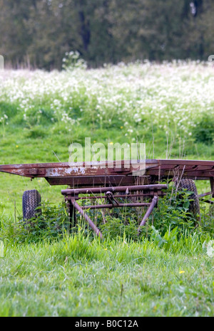 Old farm trailer by ancient tree, Cape Cod, New England, USA Stock ...