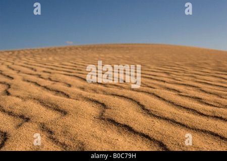 Sands Dunes deserts without vegetation Sea of sand Canary Island Stock ...