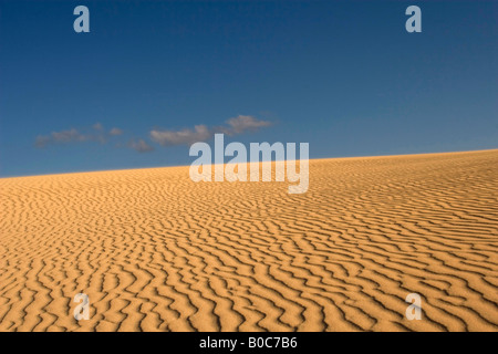 Sands Dunes deserts without vegetation Sea of sand Canary Island Stock ...