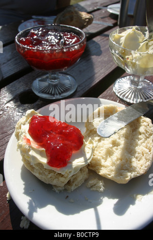 Traditional English cream tea picnic served on vintage crockery Stock ...