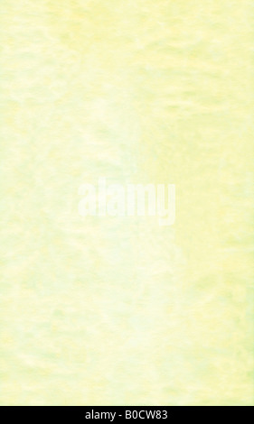 Hi res scan of an old sheet of genuine parchment paper Stock Photo - Alamy