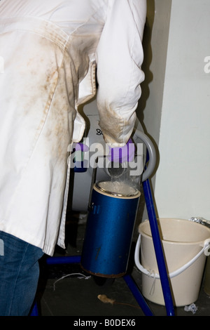 Female scientist working at the laboratory with a thermal cycler ...