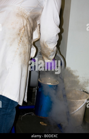 Female scientist working at the laboratory with a thermal cycler ...