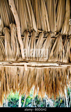 Traditional Maya house with thatched palm roof and stone walls in ...