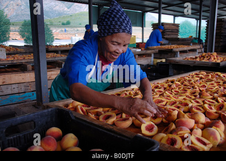 Montagu dried fruit & nuts (7 Stock Photo - Alamy