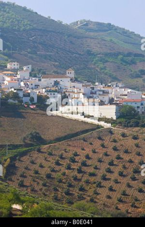 Iznate Inland Costa del Sol Malaga Province Spain Stock Photo - Alamy