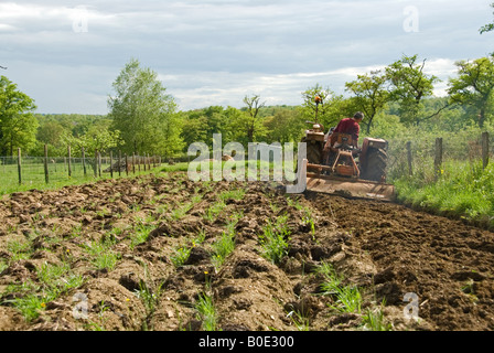 Stock photo of a tractor rotavating the soil to produce a fine tilth ...