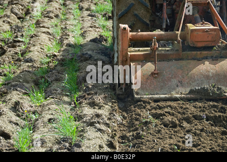 Stock photo of a tractor rotavating the soil to produce a fine tilth ...