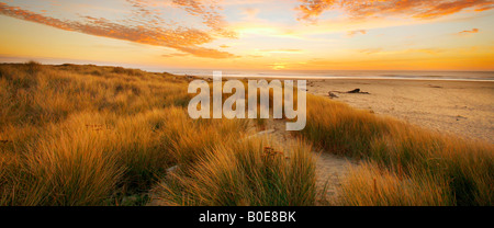 Oregon coast beach near Umpqua River Lighthouse Stock Photo - Alamy