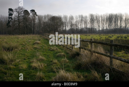 Fallow hay fields near Medmenham, Buckinghamshire, England Stock Photo ...