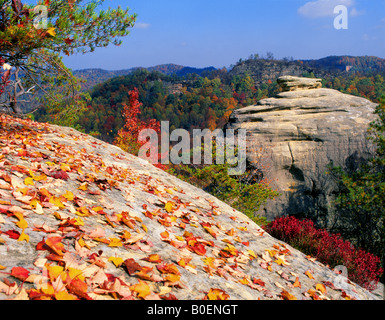 Fall colors and Haystack Rock, Red River Gorge, Kentucky Stock Photo ...