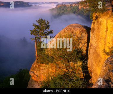 Half Moon Rock at Red River Gorge Kentucky Stock Photo - Alamy