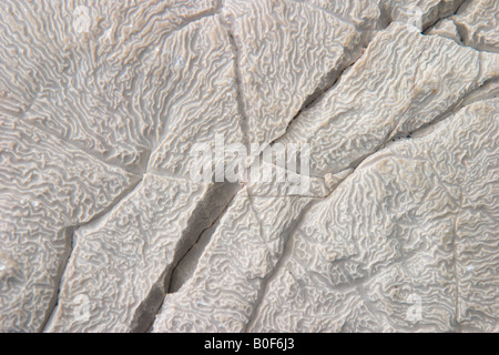 Beach Rock Formation on Hvar, Croatia Stock Photo - Alamy
