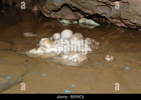 Limestone mineral calcification in the Cheddar caves England Stock ...