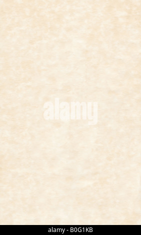 Hi res scan of an old sheet of genuine parchment paper Stock Photo - Alamy