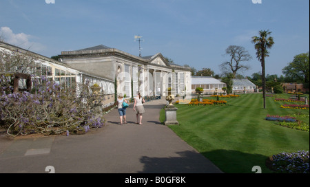 The Orangery at Bicton Botanical Gardens Exeter Devon UK Stock Photo ...