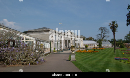 The Orangery at Bicton Botanical Gardens Exeter Devon UK Stock Photo ...