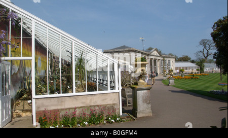 The Orangery at Bicton Botanical Gardens Exeter Devon UK Stock Photo ...