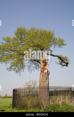 The Royal Oak Boscobel House Boscobel Shropshire West Midlands England ...
