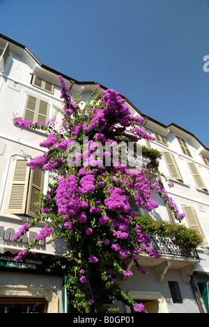 Stunning villa at Gardone Riviera on Lake Garda Stock Photo - Alamy