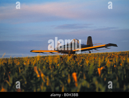 Crop duster over corn in the Midwest Stock Photo - Alamy