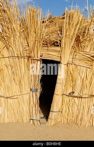 Tuareg thatched palm hut, Zeriba, Hoggar, Ahaggar, Wilaya Tamanrasset ...