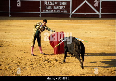 Bullfighter holding red cape with bull, Las Ventas bullring, Madrid ...