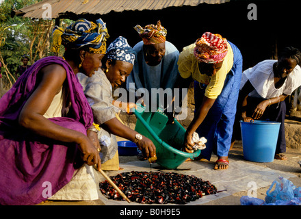 Women making traditional tie-dyed Gara cloth, Makeni, Sierra Leone ...