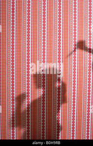 Shadow on wallpaper, violent scene, stabbing Stock Photo - Alamy