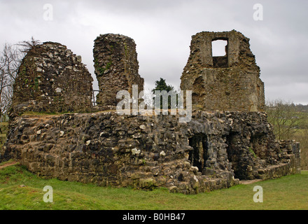 Narberth Castle in Pembrokeshire Stock Photo - Alamy