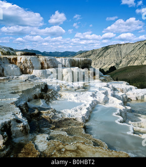 Sinter terraces near Mammoth near the Yellowstone bacteria pools in the ...