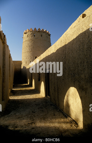 Al Ain, United Arab Emirates. Credit: MATSUO. 16th Jan, 2019. Mohammed ...