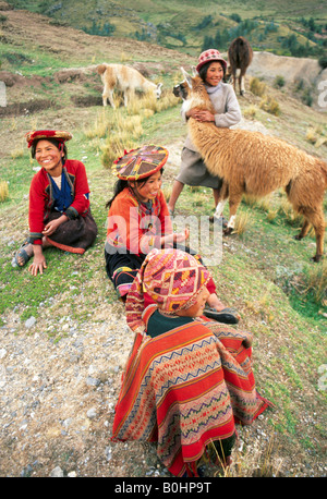Peruvian children with llamas Peru South America Stock Photo - Alamy