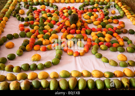 Yellow Mangoes on Sale. A display table in front of a produce shop ...