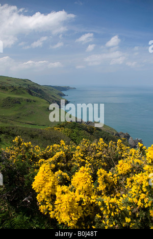 Coastal scenery near Ilfracombe, North Devon, England, UK Stock Photo ...
