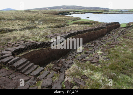 Scottish traditional peat cutting for fuel & drying in the highlands ...