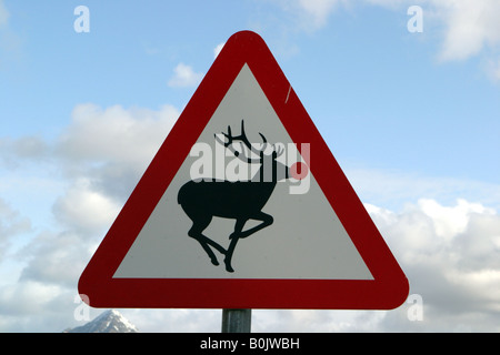 Red triangle deer warning sign Stock Photo - Alamy