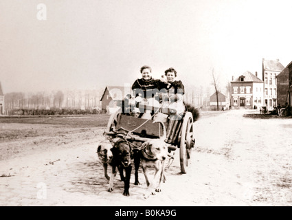 Dogs pulling women on a cart, Antwerp, 1898.Artist: James Batkin Stock ...