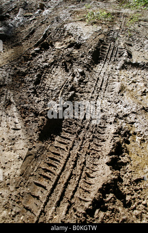 tyre tracks crossing in mud in field in countryside Stock Photo - Alamy